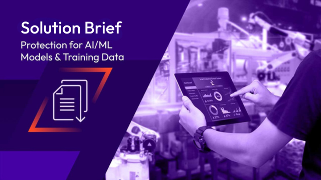 Protection for AI/ML Models & Training Data